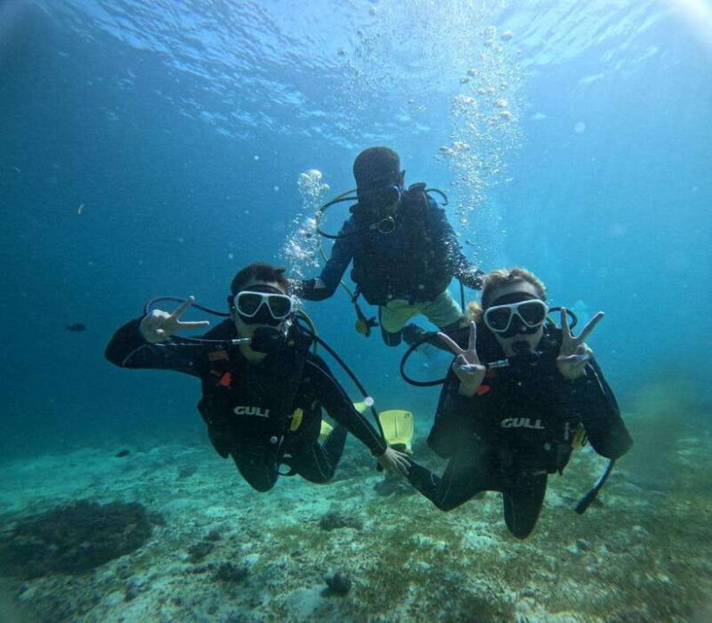Cebu: Beach Scuba Diving Experience - Why This Tour Offers Great Value