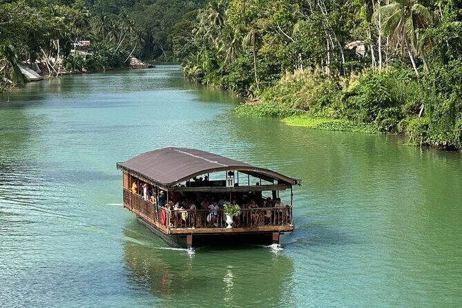 Cebu-Bohol Private Day Tour with Chocolate Hills + Ferry Tickets - What Travelers Say