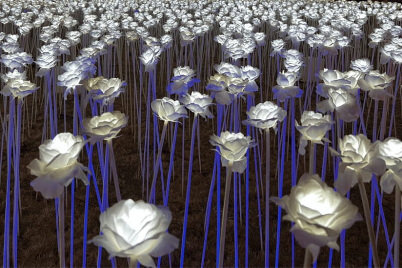 Cebu: Cebu City and Mactan Island Tour - The Value of This Tour