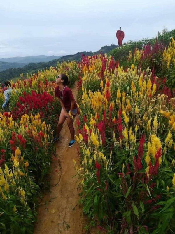 Cebu: City and Highlands Discovery Full-Day Tour with Lunch - Frequently Asked Questions