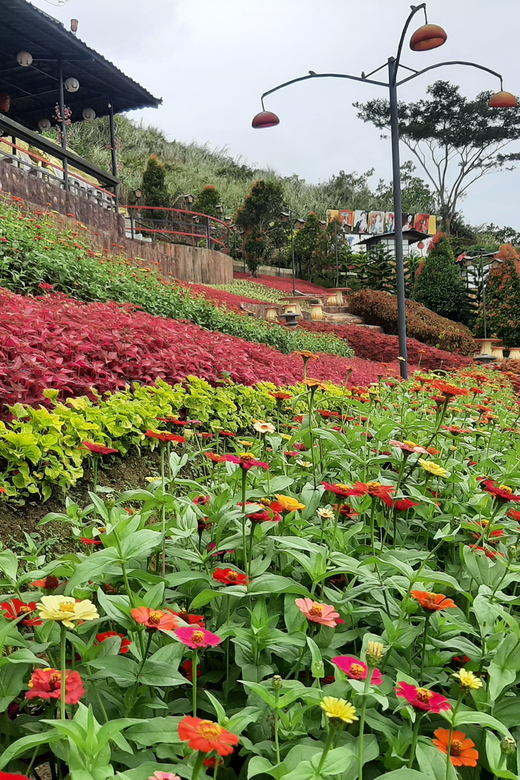 Cebu City: Cultural Heritage Tour & 10,000 Roses Visit - Sunset at the 10,000 Roses Café