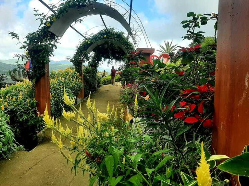 Cebu City: Cultural Heritage Tour & 10,000 Roses Visit - Authentic Experiences and Guest Feedback