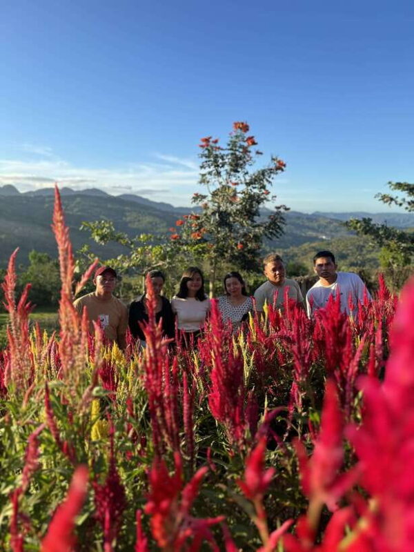 Cebu: City Highlights with Sirao Flower Garden Visit - Frequently Asked Questions