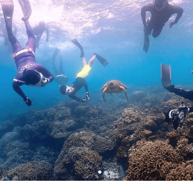 Cebu city to Pescador Island & Kawasan Canyoneering Tour - The Experience: What Youll Feel and See