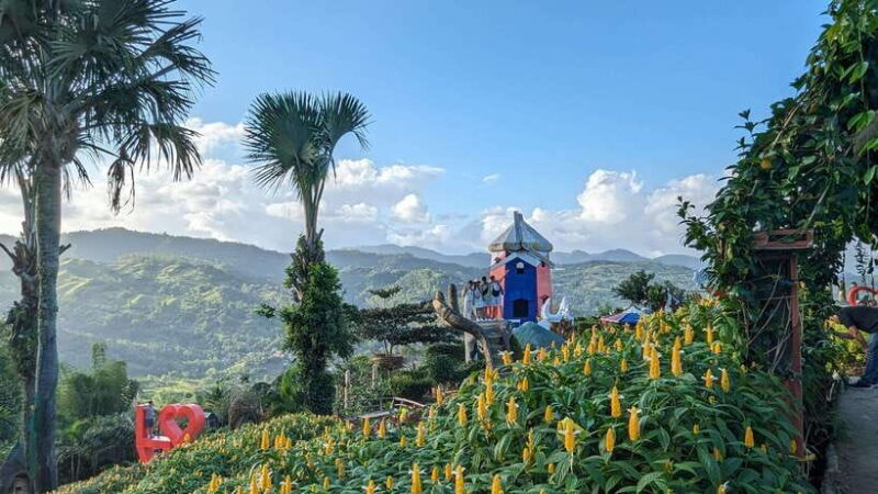 Cebu City with Sirao Garden Half Day Tour - Delving into Cebu’s History: Fort San Pedro and Basilica del Santo Niño