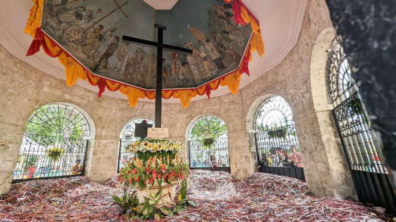 Cebu City with Sirao Garden Half Day Tour - What to Expect and What Not to Expect