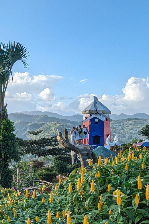 Cebu City with Sirao Garden Half Day Tour - The Sum Up: Who Will Love This Tour?