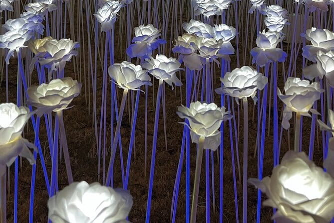 Cebu Group Tour: Best Cebu City Tour - The Sum Up: Who Will Love This Tour?