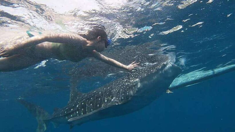 Cebu Group Tour: Whaleshark Watching & Kawasan Canyoneering - FAQ