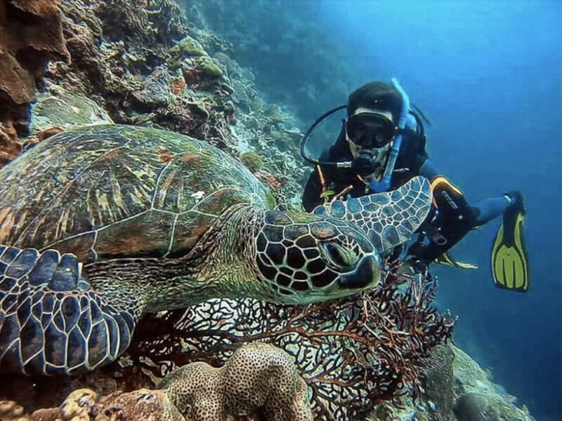 CEBU: How to get two for one price (scuba certification) - FAQ