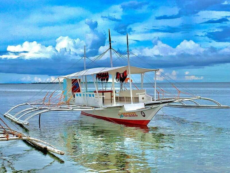 Cebu Island Hopping with Lunch - Who Is This Tour Best For?