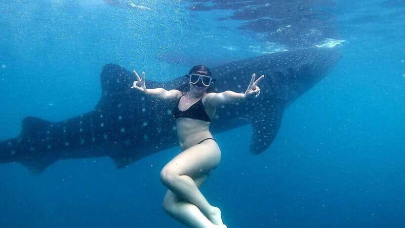 Cebu: Join Whale Shark Swimming & Kawasan Falls Canyoneering - Authentic Experiences & Practical Tips