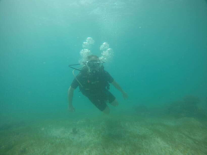 Cebu: Kanlahing Peak Sea of Clouds & Polpog-Nonok Stream - Key Points