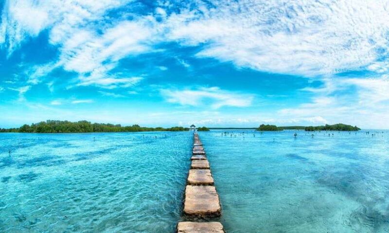 Cebu Mactan Island Hopping + Picnic Lunch (Private Tour) - Who Should Consider This Tour?