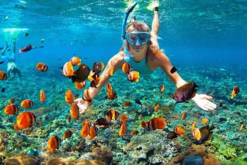 Cebu: Mactan Island Hopping Tour with Snorkeling - What you get and what it means