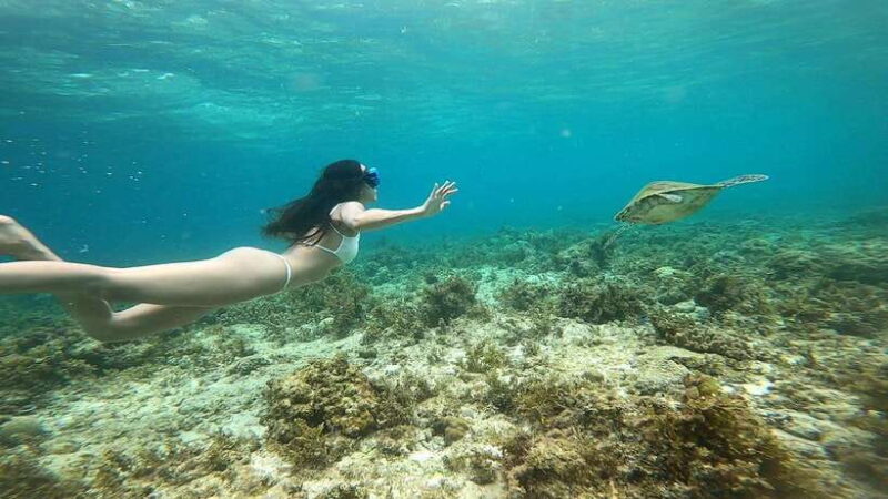 Cebu Moalboal Adventure Combo: Snorkel & Canyoneering +Lunch - Why This Tour Stands Out