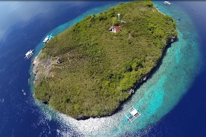 Cebu Moalboal Beach, Sardine Run, Sea Turtle Viewing + Canyoneering Tour - Key Points