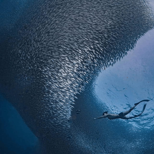 Cebu: Moalboal - Kawasan Day Tour with Badian Canyoneering - Practical Details and Logistics