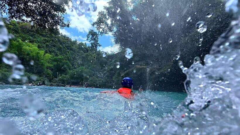 Cebu: Moalboal Sardine Run & Kawasan Falls Canyoneering - The Sum Up