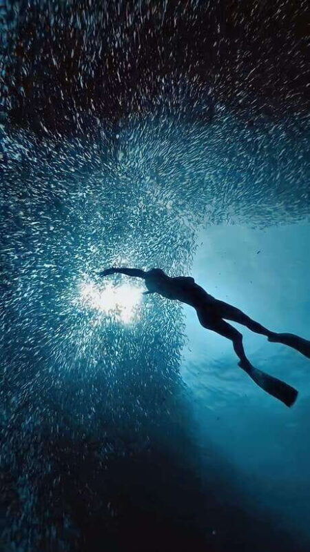 Cebu: Moalboal Sardine Run & Kawasan Falls Canyoneering - Final Thoughts: Who is This Tour Best For?