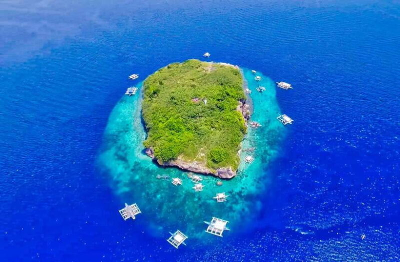 Cebu: Moalboal Sardines and Turtles Snorkeling Tour - What to Expect from the Moalboal Snorkeling Tour