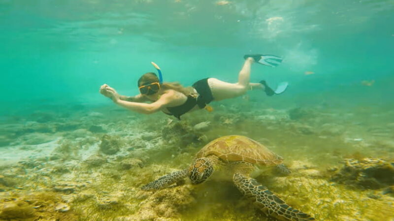 Cebu: Moalboal Snorkeling & Kawasan Canyoneering Adventure - The Value of the Experience