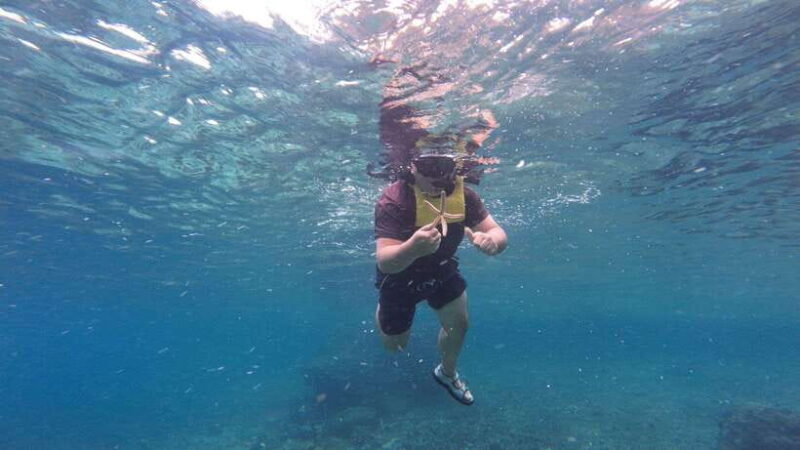 Cebu: Moalboal Snorkeling & Kawasan Canyoneering Adventure - Key Points