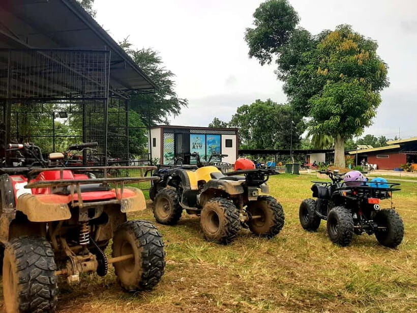 Cebu: Moalboal Snorkeling, Mantayupan Falls & ATV Adventure - Key Points