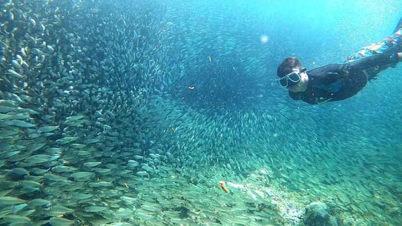 Cebu: Moalboal Snorkeling, Mantayupan Falls & ATV Adventure - The Sum Up
