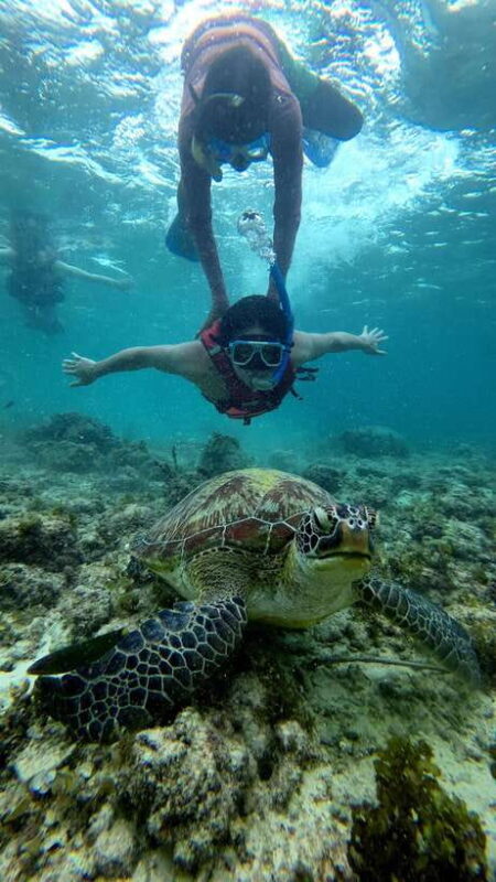 Cebu: Moalboal Snorkeling, Mantayupan Falls & ATV Adventure - Who Should Consider This Tour?