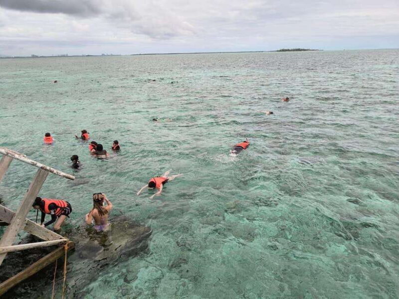 Cebu Nalusuan Island & Marine Sanctuary | Joiners Tour - The Experience: What Travelers Say