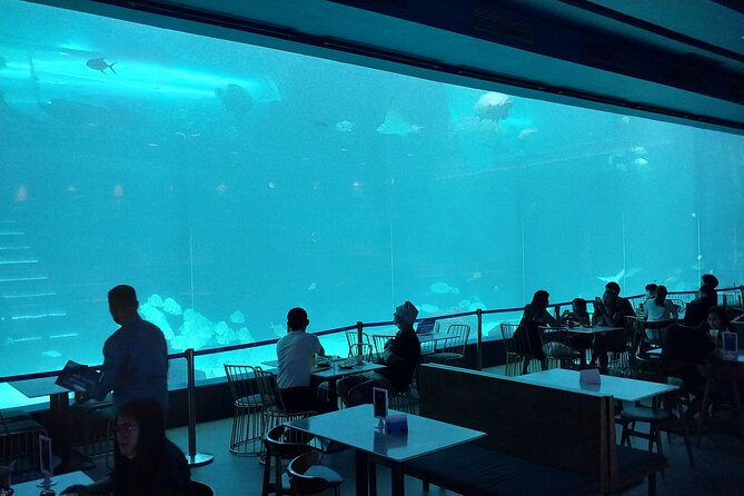 Cebu Ocean Park - The Sum Up