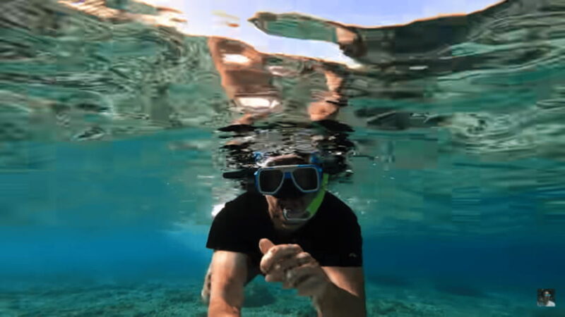 Cebu: Oslob Whale Shark and Moalboal Snorkeling Tour - Authentic Insights from Travelers