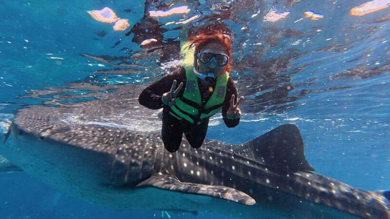 Cebu: Oslob Whale Shark Encounter & SUMILON with Transfers - Final Thoughts