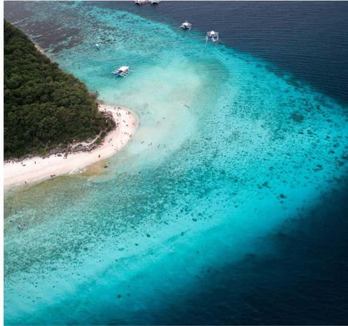 Cebu: Oslob Whale Shark Swim and Sumilon Island Day Tour - The Sum Up: Who Should Consider This Tour?