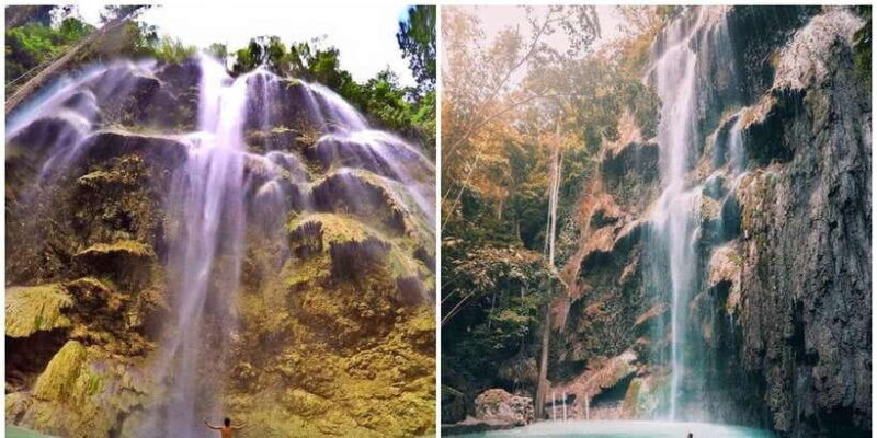 Cebu: Oslob Whale Shark Swim and Sumilon Island Day Tour - Final Thoughts