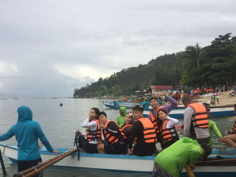 Cebu: Oslob Whale Shark Swimming - Key Points