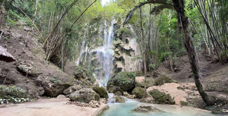 Cebu: Oslob Whale Shark Swimming - Additional Considerations
