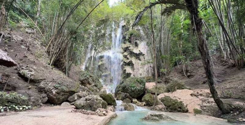 Cebu: Oslob Whale Shark Swimming - FAQ