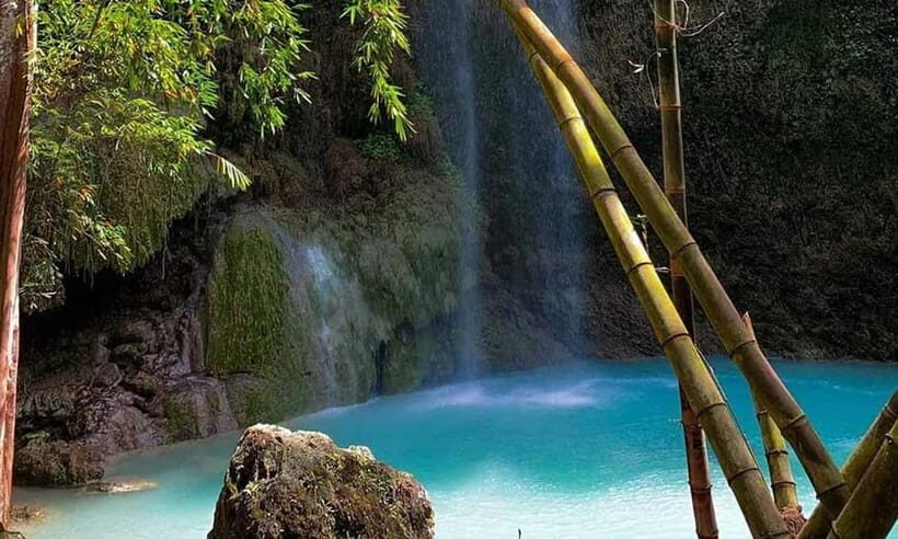 Cebu: Oslob Whale Shark, Tumalog Falls, and Sumilon Sandbar - Key Points