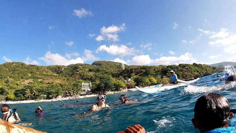 Cebu Oslob: Whale Shark Watching Experience - Who Will Love This Tour?