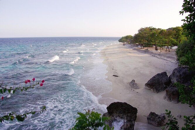 Cebu Oslob Whale Sharks and Sumilon Island Kawasan Falls Canyoneering - Key Points