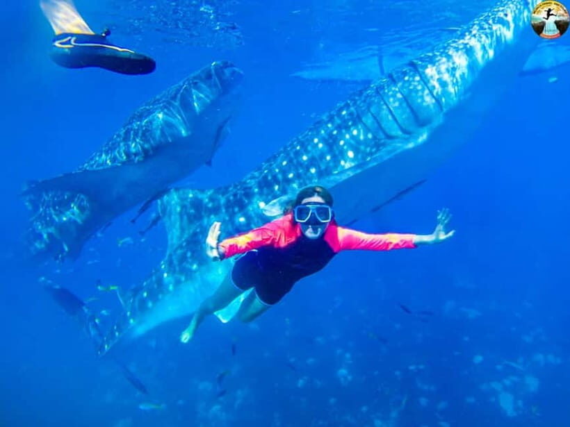 Cebu: Oslob Whale Sharks & Kawasan Canyoneering Group Tour - An In-Depth Look at the Tour Experience