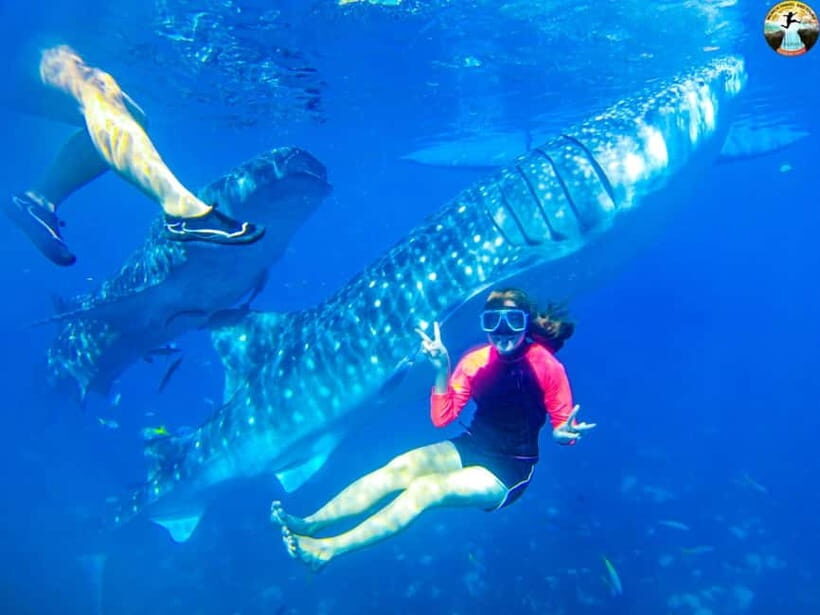 Cebu: Oslob Whale Sharks & Kawasan Canyoneering Group Tour - Authentic Experiences and Traveler Tips