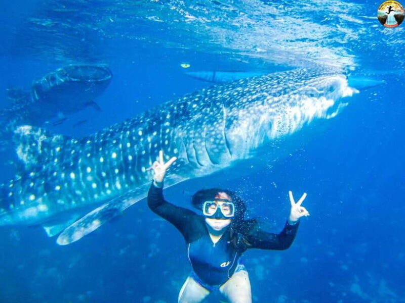Cebu: Oslob Whale Sharks & Kawasan Canyoneering Group Tour - What’s Included and What’s Not