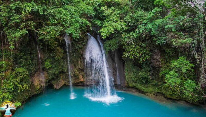 Cebu: Oslob Whale Sharks & Kawasan Canyoneering Group Tour - Final Thoughts