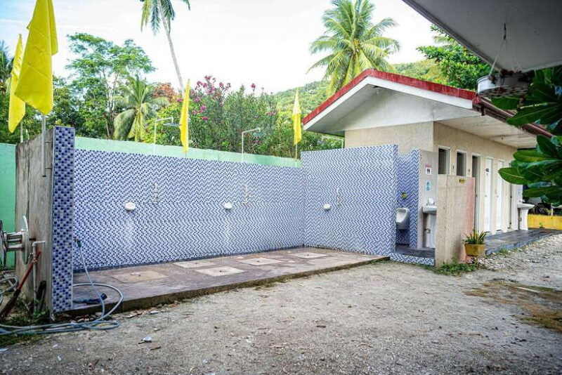 Cebu: Oslob Whale Sharks, Moalboal Sardine Run & Turtles - The Authenticity and Safety Considerations