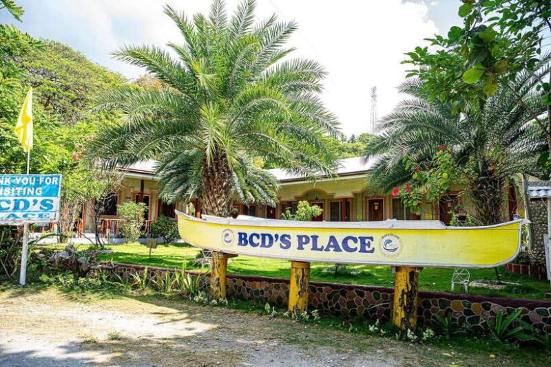 Cebu: Oslob Whale Sharks, Moalboal Sardine Run & Turtles - Final Thoughts: Is This Tour Worth It?