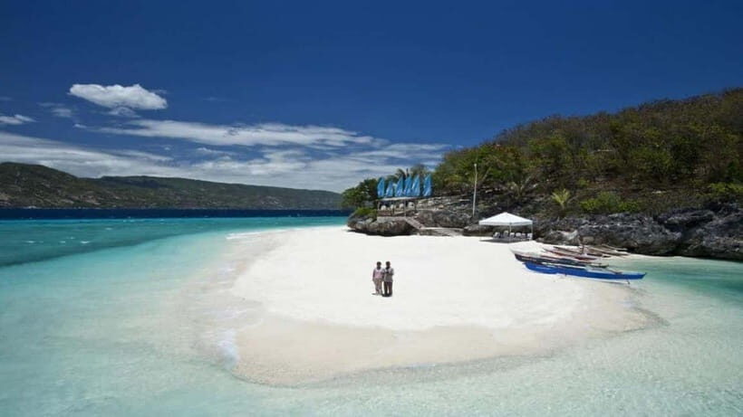 Cebu Oslob Whaleshark Adventure! (private tour) - Practical Tips and Considerations