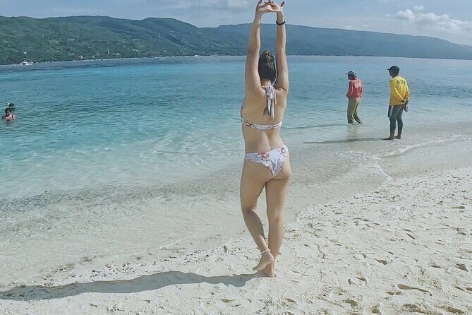Cebu Oslob Whaleshark and Sumilon Island Full-Day Private Tour - Who Will Love This Tour?